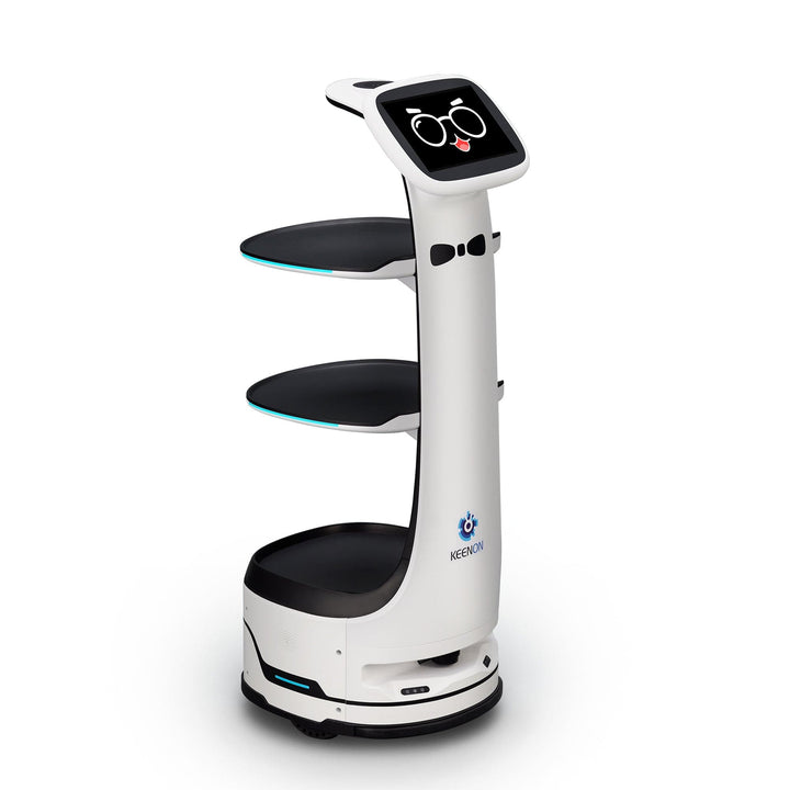 Service Robots – Airpuria