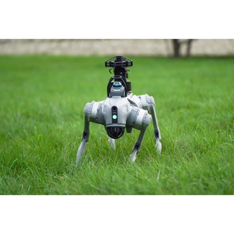 Unitree Go2 EDU - AI Quadruped Robot Dog - For Education/Research Mark ...